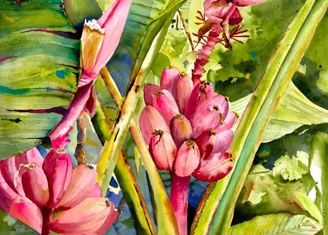 Carol Garvin Tropical Watercolors Fine Art Paintings